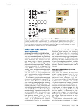 Fluid reasoning and the developing brain | PDF