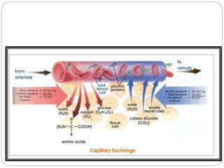 Fluid replacement therapy | PPTX