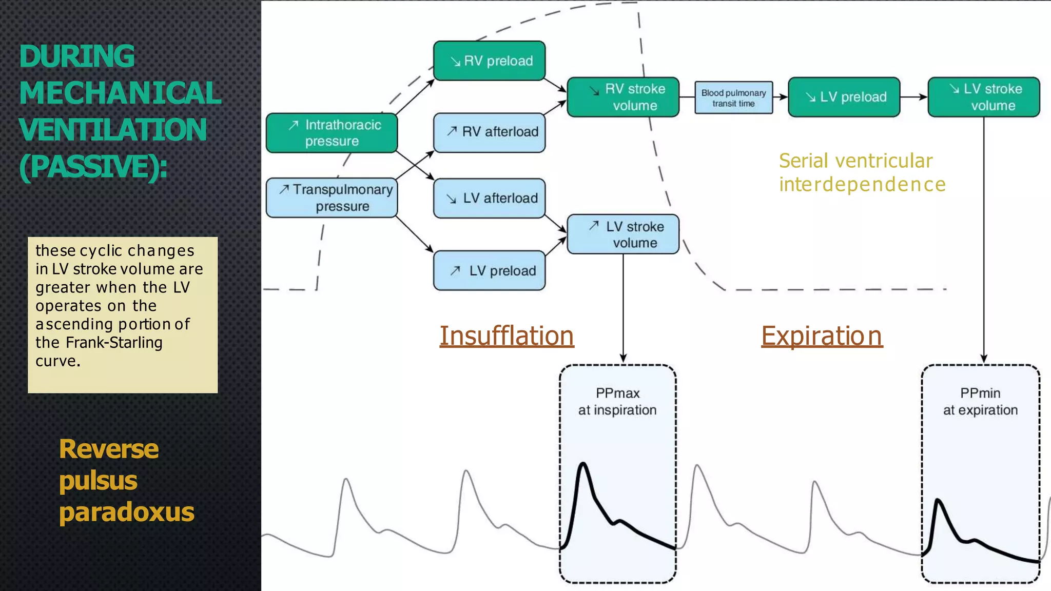 fluid responsiveness.pptx