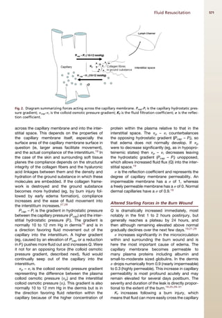 Fluid resuscitation burns 2009 | PDF