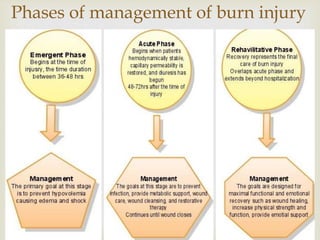 Fluid resuscitation in burn - HARSH AMIN (plastic & cosmetic surgeon ...