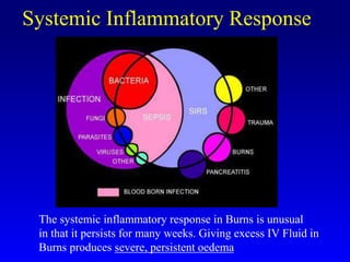 Burn Fluid Resuscitation Key Issuespptx.pptx