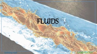 FLUIDS.pptx