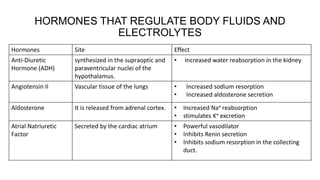 fluids in children maintenance therapy and normal | PPT