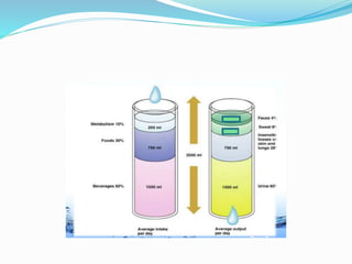 Intravenous Fluids in Surgical Practice | PPTX