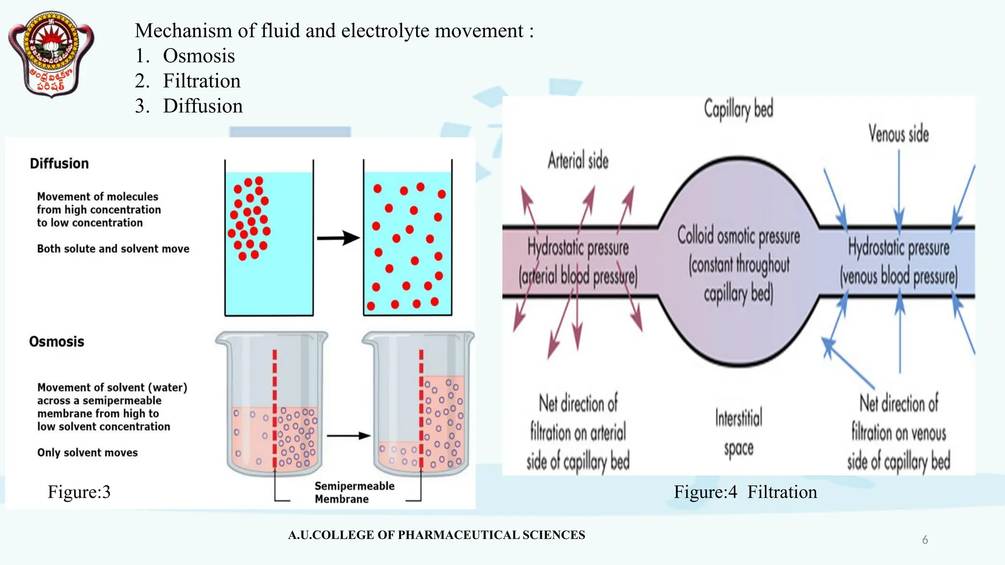 Fluids and Electrolyte Balance (Na, K, Cl, ) | PPTX