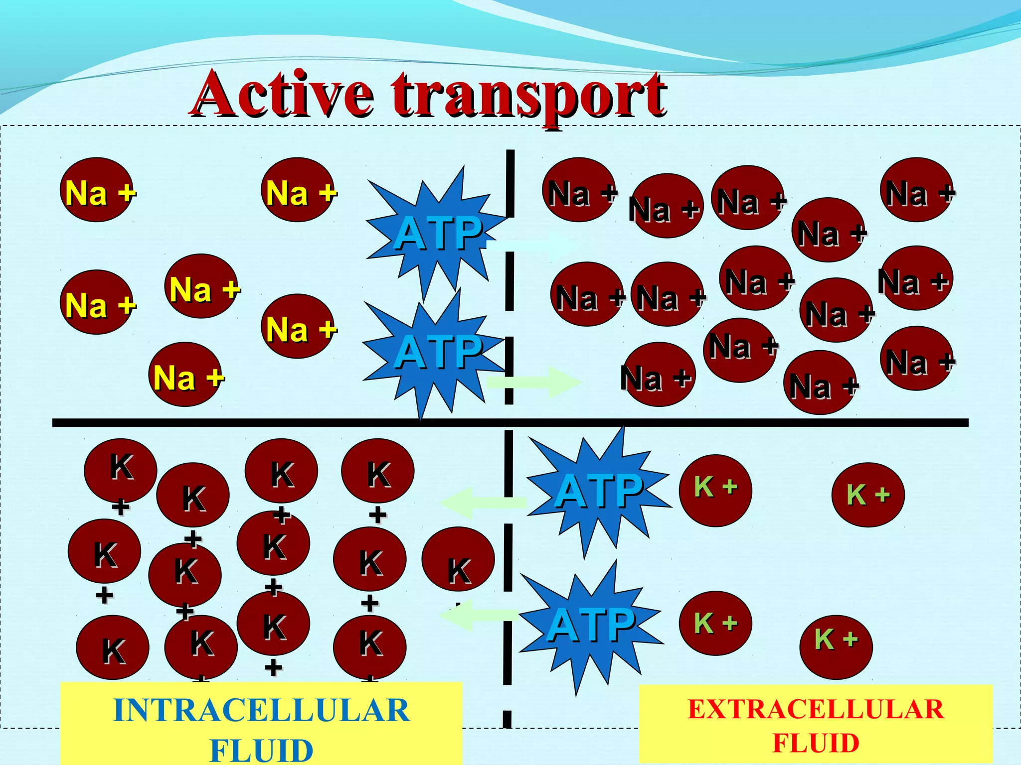 Fluids and electrolytes balance | PPT