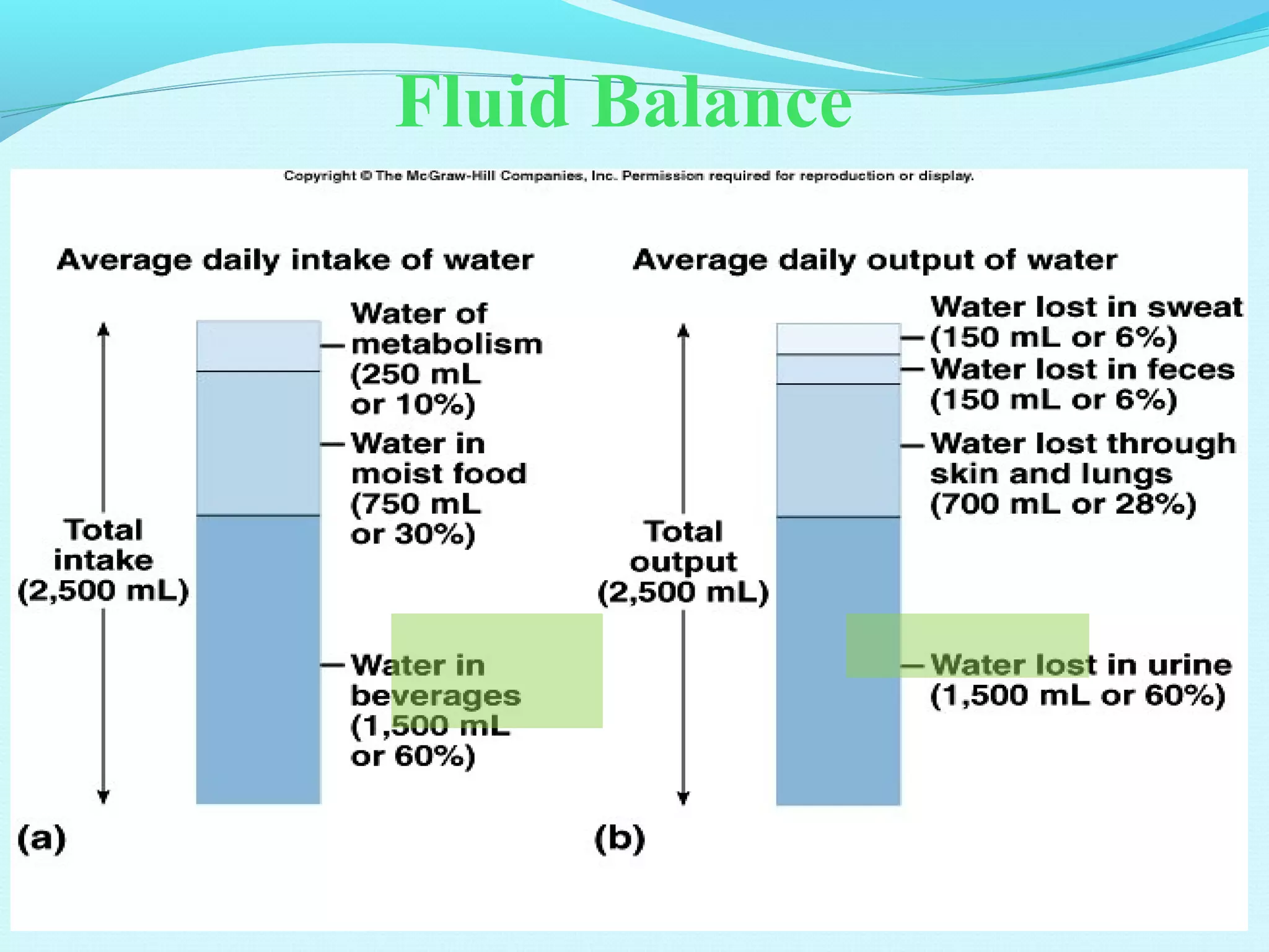 Fluids and electrolytes balance | PPT