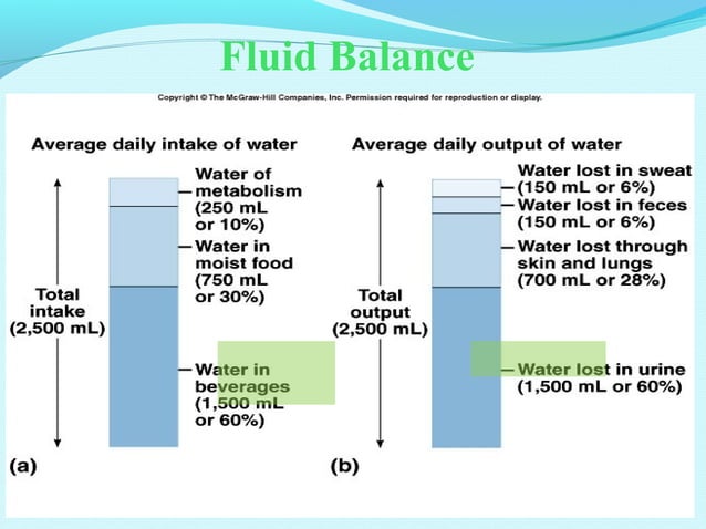 Fluids and electrolytes balance | PPT