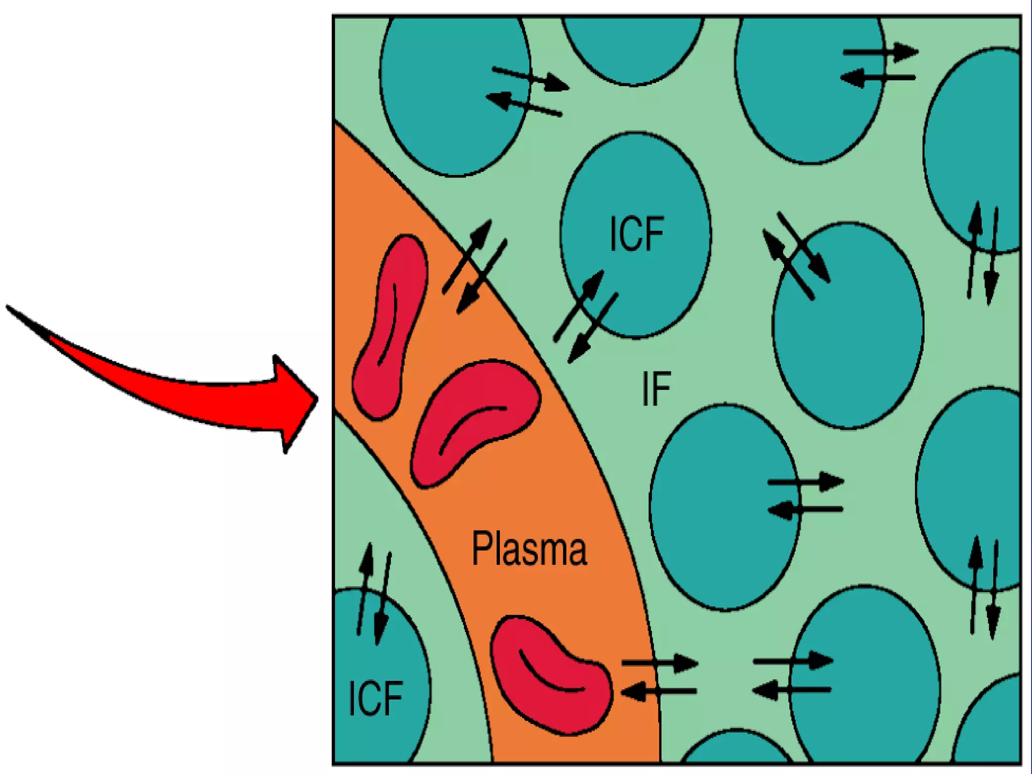 Fluids and electrolytes2015 | PPT
