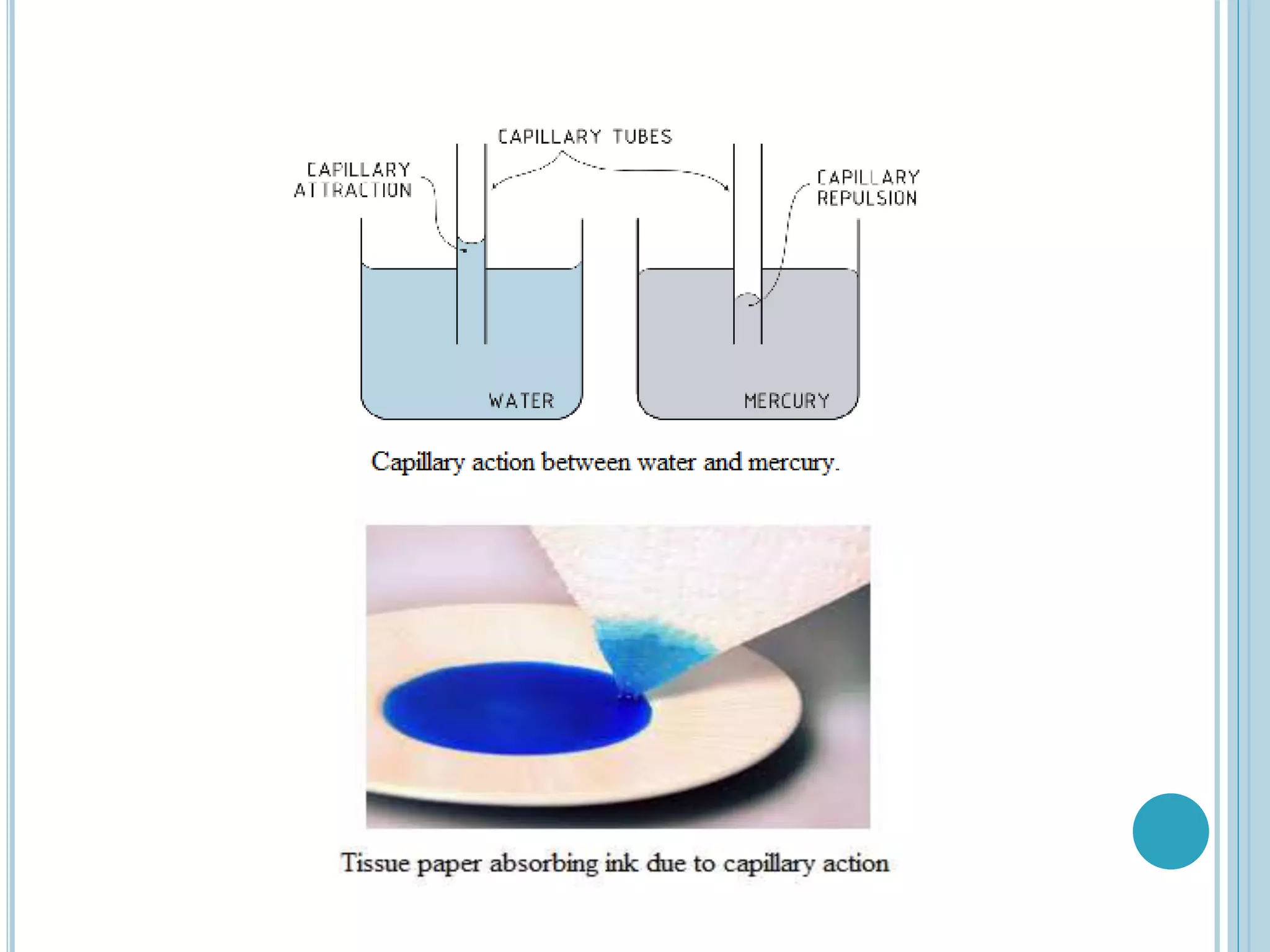 Fluids and their properties | PPTX