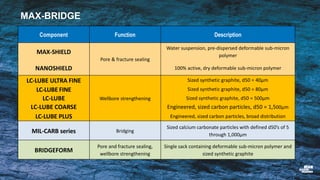 Fluids bridging system | PDF