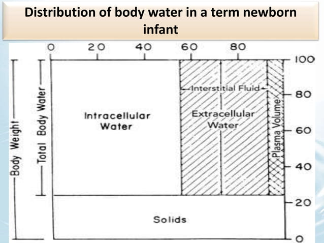 Fluid and electrolyte management in neonates. By Dr Rabab Hashem | PPTX ...