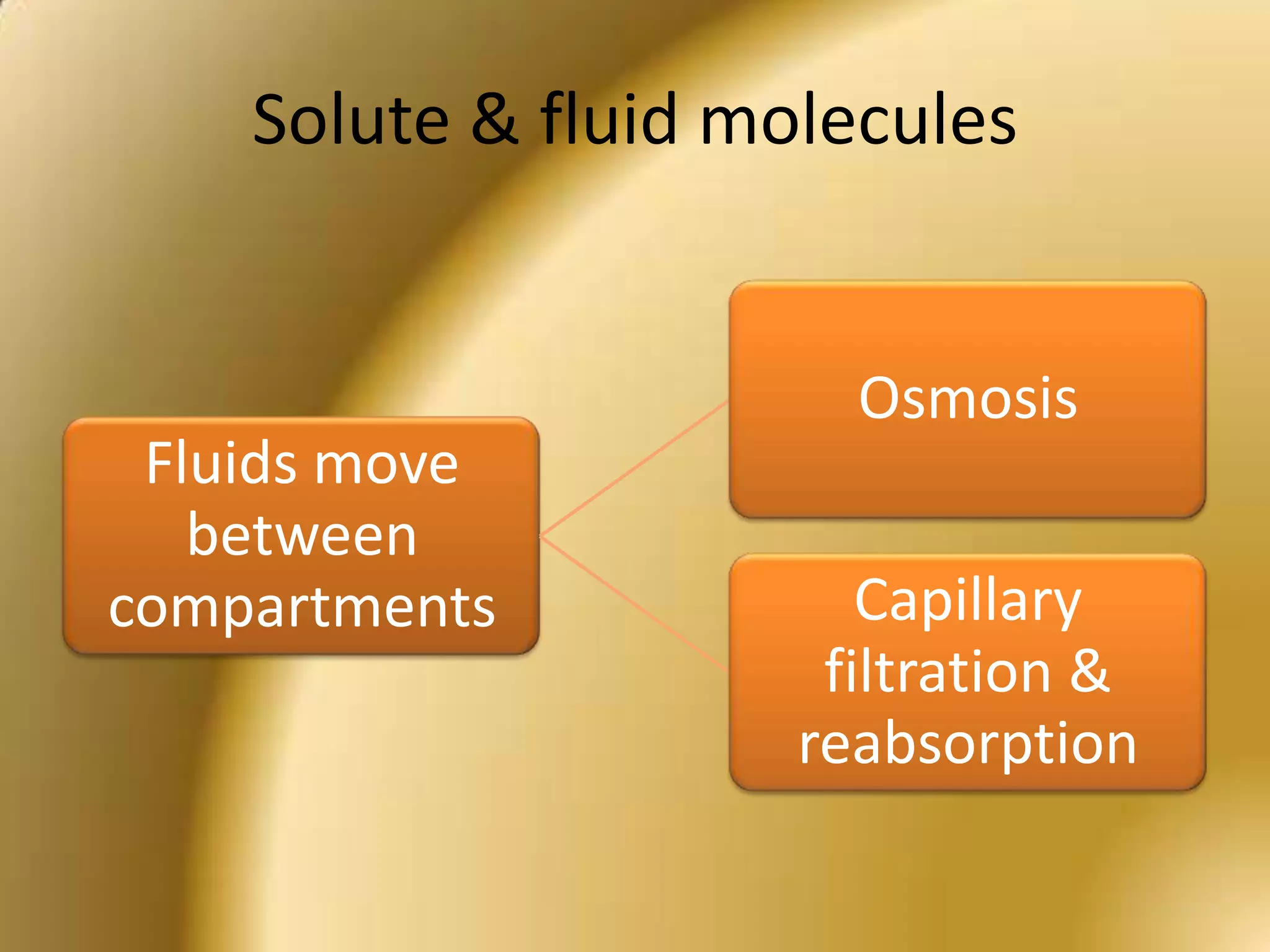 Fluids, Electrolytes & IV Therapy | PPTX