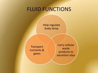 Fluids, Electrolytes & IV Therapy | PPTX