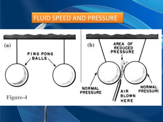 Fluids in Motion | PPTX