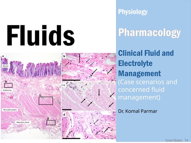 Intravenous Fluids PPT Crystalloids, Colloids, Balanced Crystalloids.pptx
