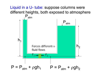 Fluid static test | PDF