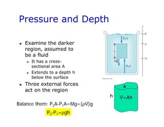 Fluid static test | PDF