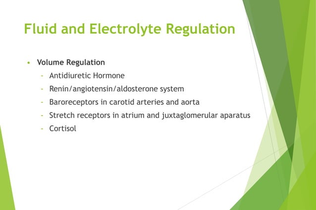 fluids therapy perioperative presentation | PPT