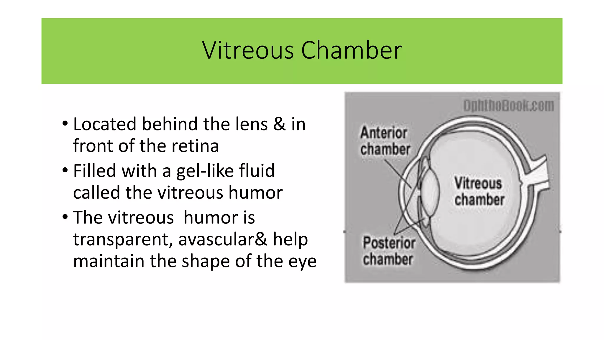 Fluid system of the eye (Glaucoma) | PPTX