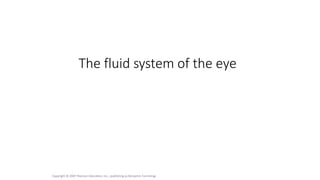 Fluid system of the eye (Glaucoma) | PPTX