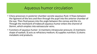 Fluid system of the eye (Glaucoma) | PPTX