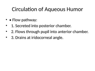 Fluid_System_of_the_Eye (1).Hypermetropia calculation | PPT