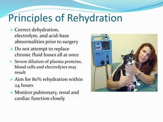 Fluid therapy | PPTX | Blood Disorders | Diseases and Conditions