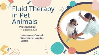 Fluid therapy in companion animals (Dog and cat).pptx