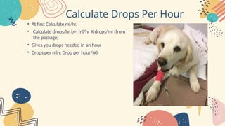 Fluid therapy in companion animals (Dog and cat).pptx