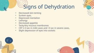 Fluid therapy in companion animals (Dog and cat).pptx