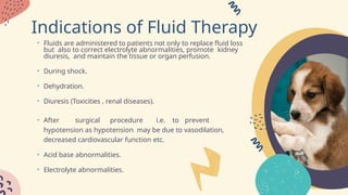 Fluid therapy in companion animals (Dog and cat).pptx
