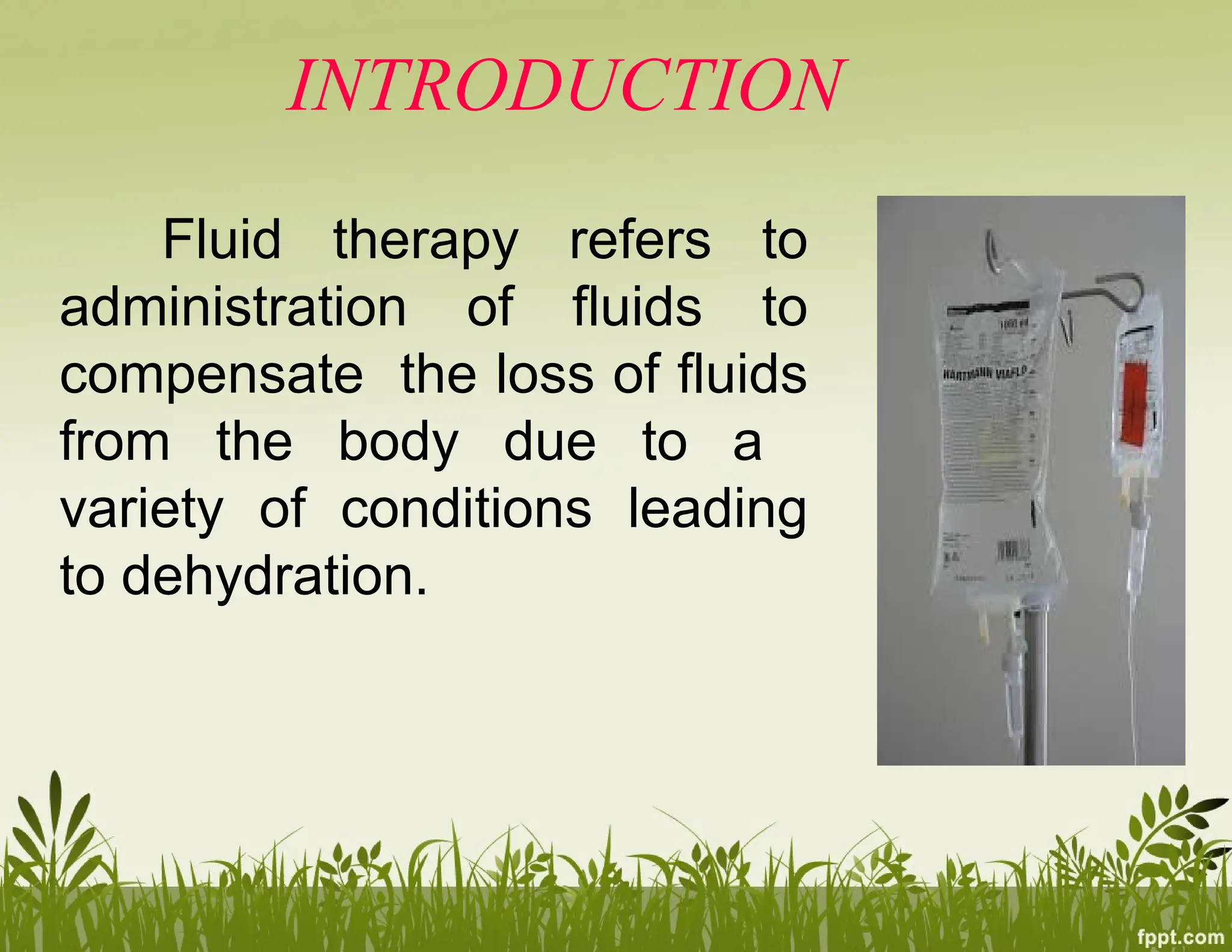 Fluid therapy in animal (veterinary).pptx