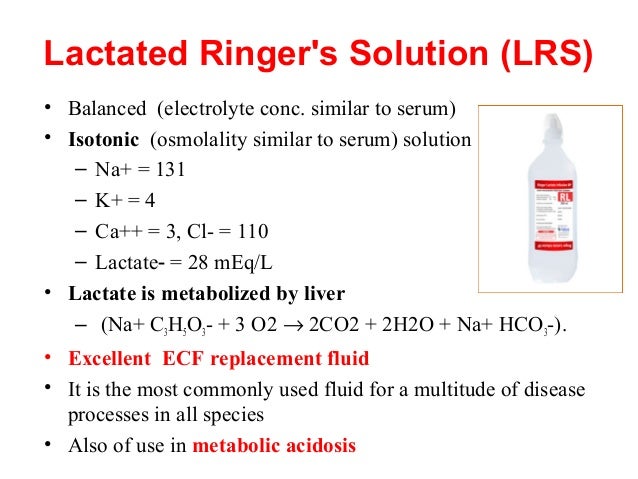 Fluid therapy_Animals