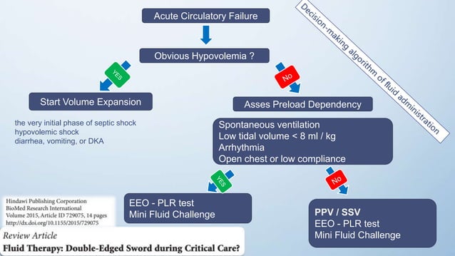 Fluid Therapy In AKI | PPTX | First Aid | Injuries