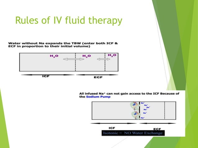 Fluid therapy in animals | PPTX | First Aid | Injuries