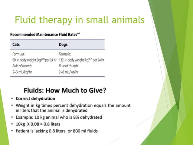 Fluid therapy in animals | PPTX | First Aid | Injuries
