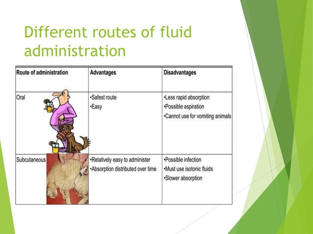 Fluid therapy in animals | PPTX | First Aid | Injuries