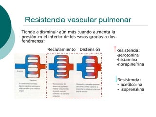 Flujo pulmonar es la maxima representacion | PPT