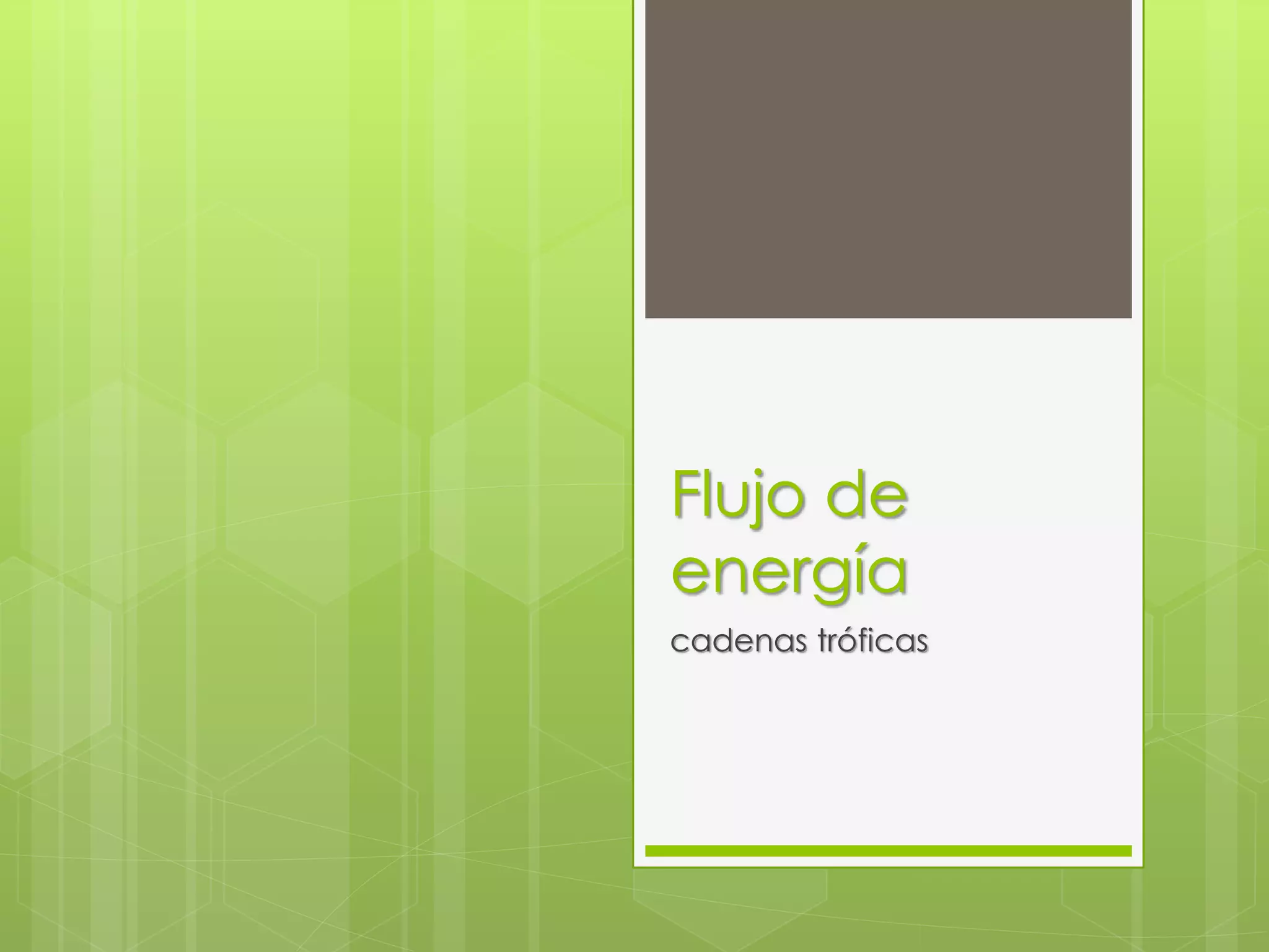 Flujo de energía | PPTX