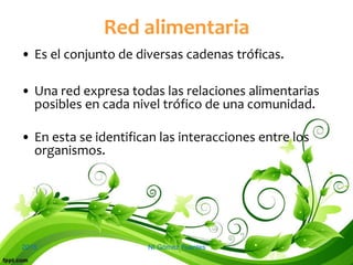 Flujo de energía y materia en el ecosistema | PPTX