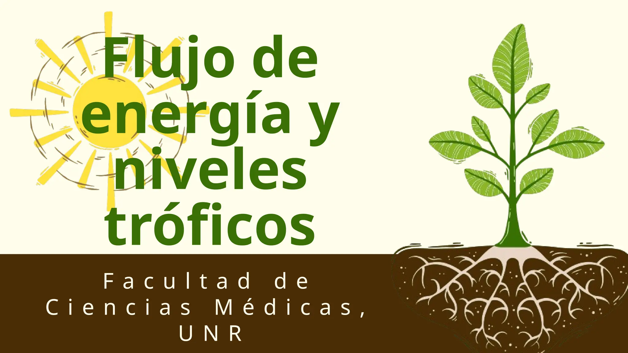 Flujo de energía y niveles tróficos.pptx