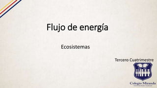 flujo de materia y energía ecosistemas. | PPT