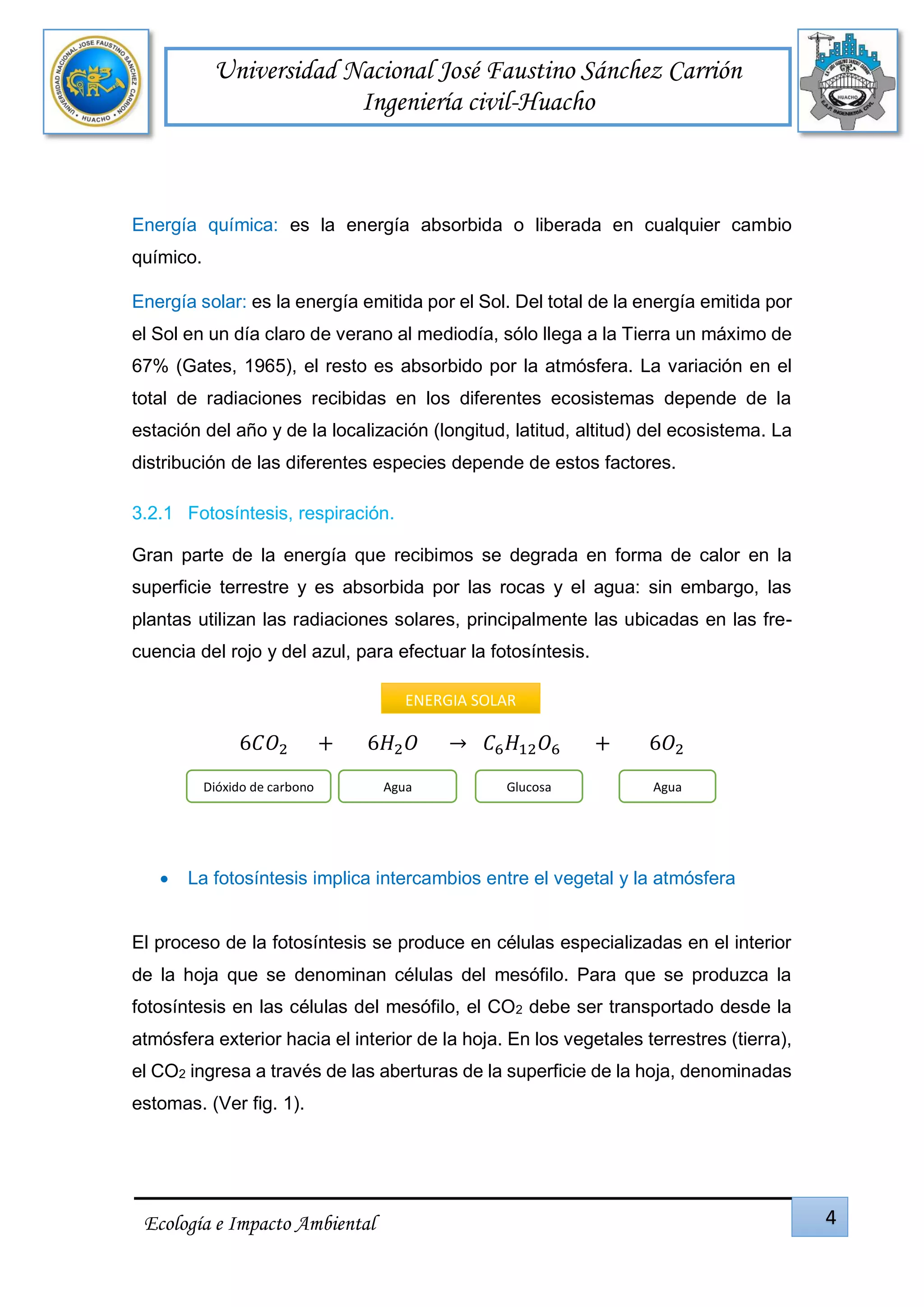 Flujo de energia en los ecosistemas | PDF