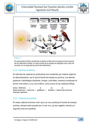 Flujo de energia en los ecosistemas | PDF