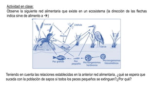 Flujo de Materia y Energía.pptx