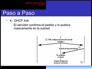 Flujo De Paquetes Entre Dhcpd Y Cliente Dhcp | PPT