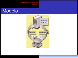 Flujo De Paquetes Entre Dhcpd Y Cliente Dhcp | PPT
