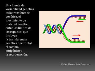 Flujo Genético entre Poblaciones | PPTX